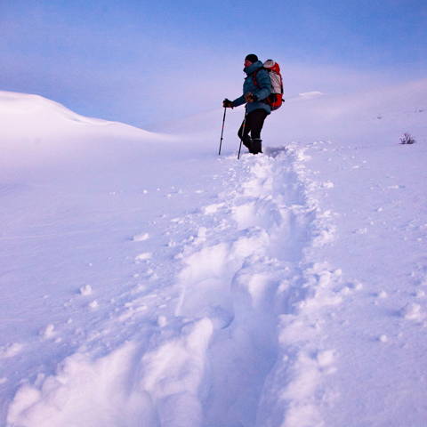 ED VIESTURS COLLECTION