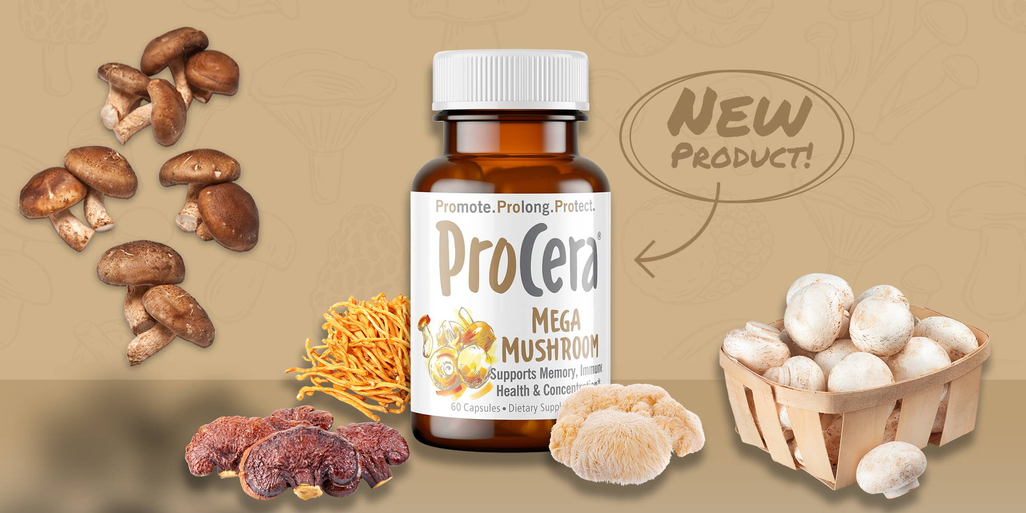 Procera Health | Promote Prolong Protect