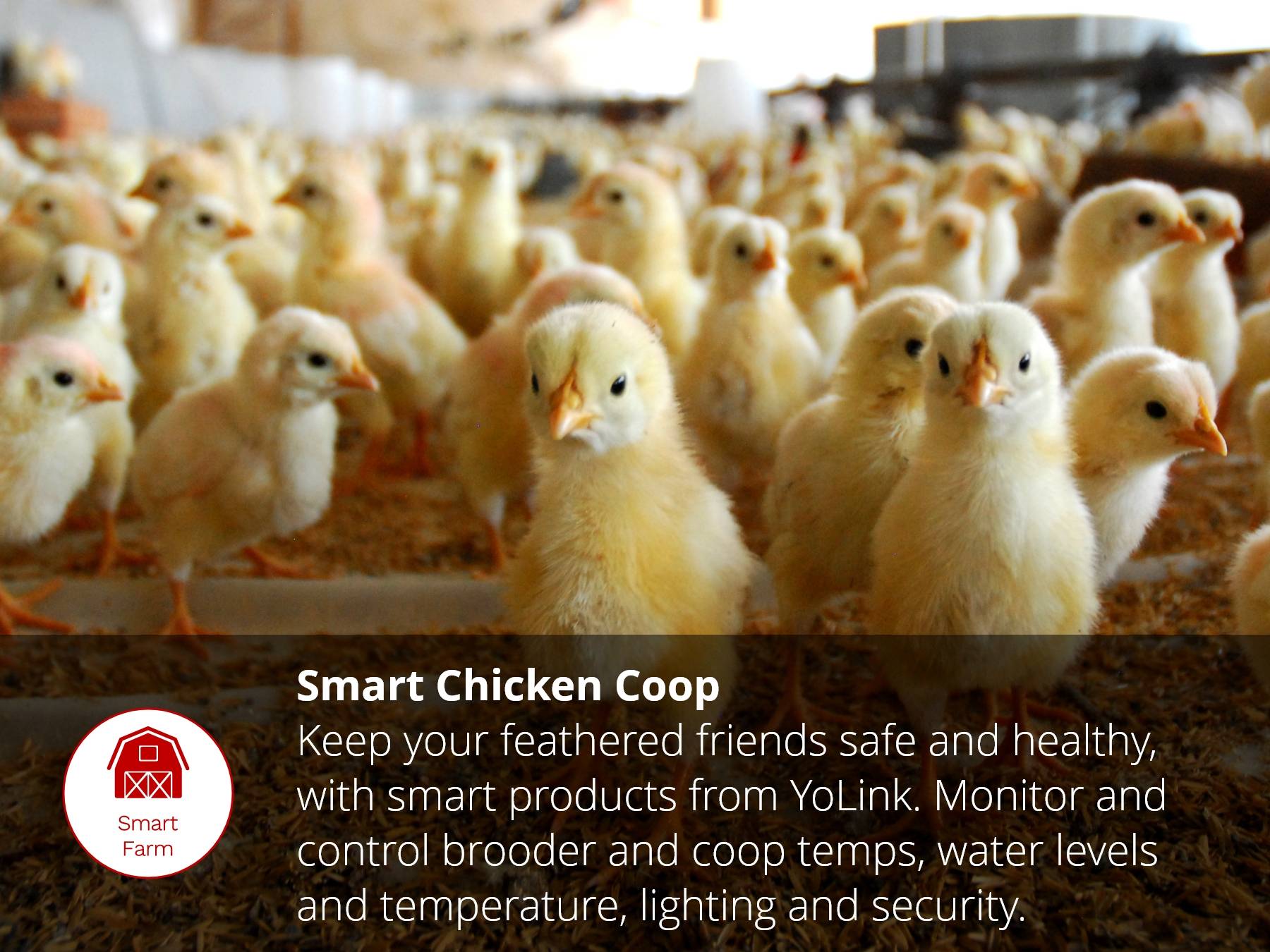 Smart Farm page – YoLink