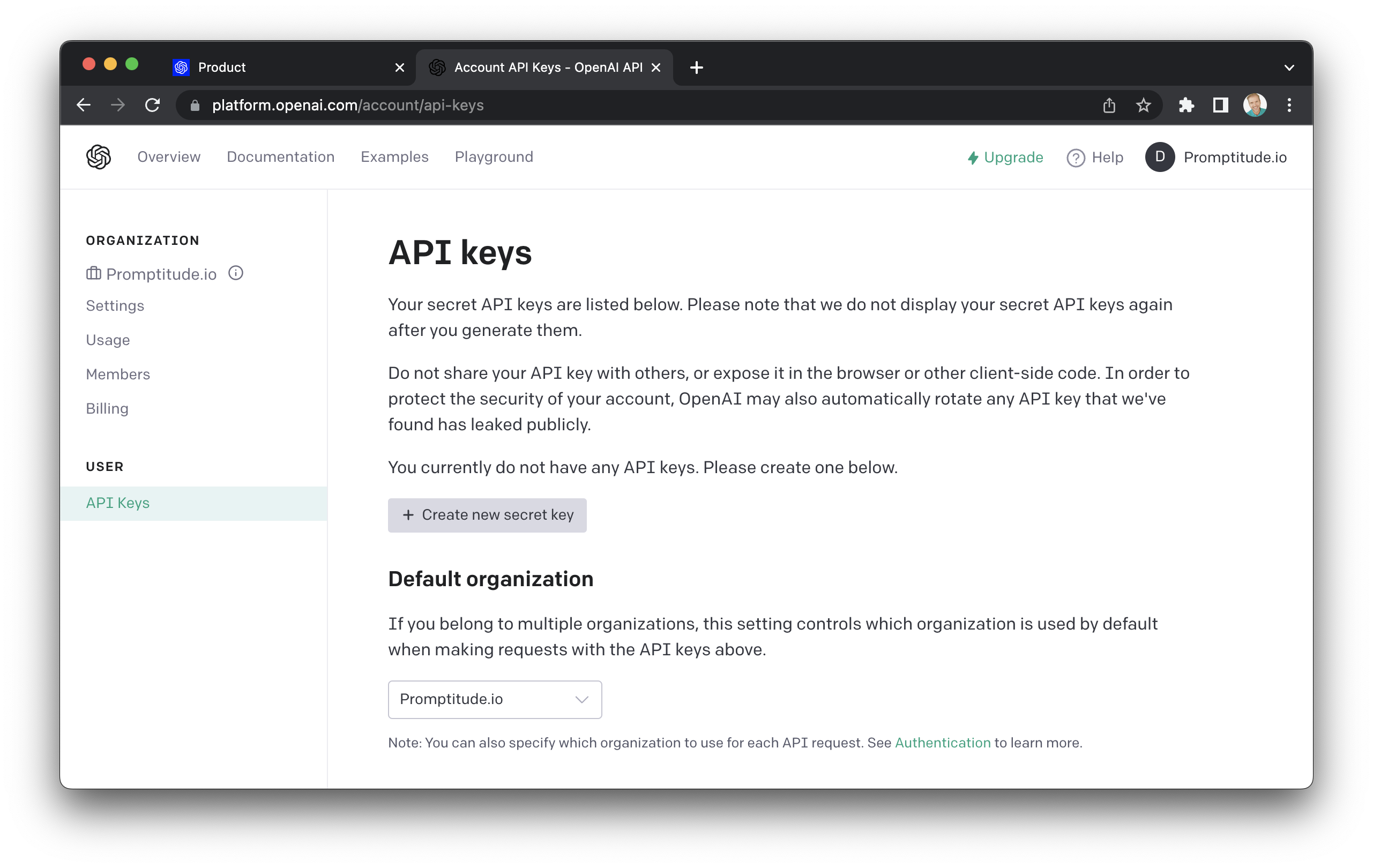 How To Get Your API Key For OpenAI