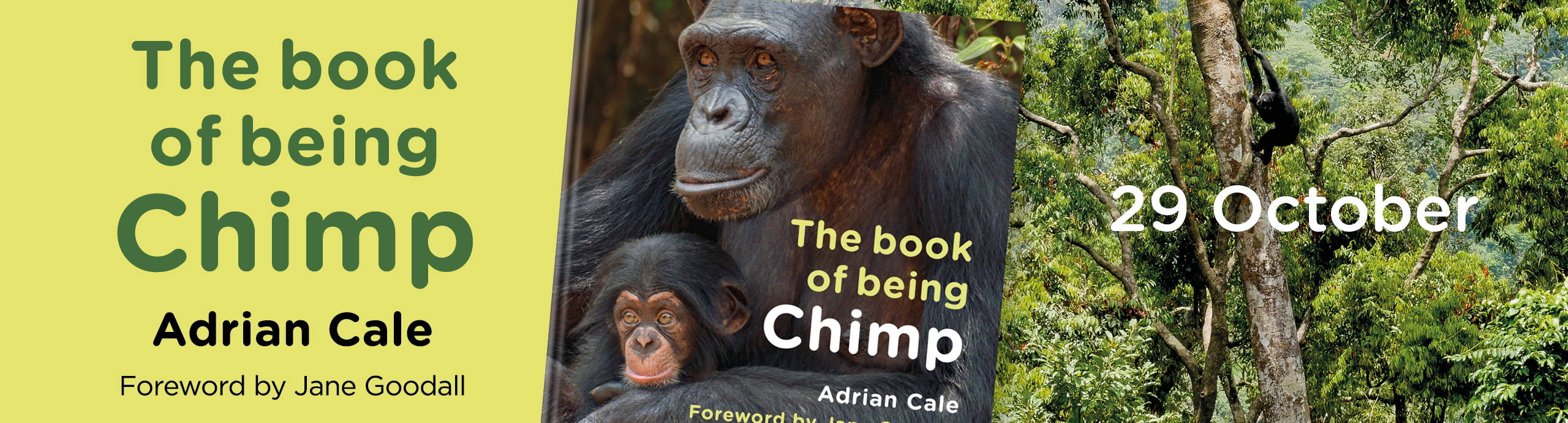 Graffeg Publishing – Graffeg Books