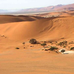 Guest Hub - Namibia Holidays Tours & Safaris