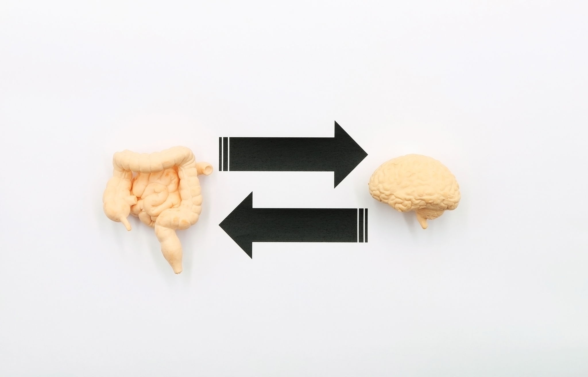 Can You Use Probiotics for Brain Health Benefits? - Dr. Michael Ruscio, DC