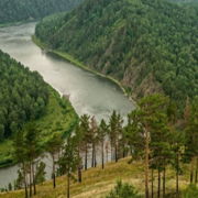 Materials for Module — Шаг 1 — Stepik