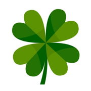 Закрепление модуля — Шаг 1 — Stepik