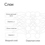 Распознавание изображений — Шаг 1 — Stepik