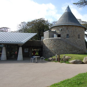 Guest Hub - Oriel y Parc Landscape Gallery and Visitor Centre