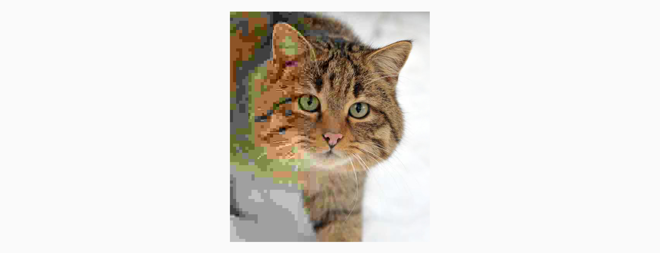 Lossless image compression: what is it and when to use it? — Uploadcare ...