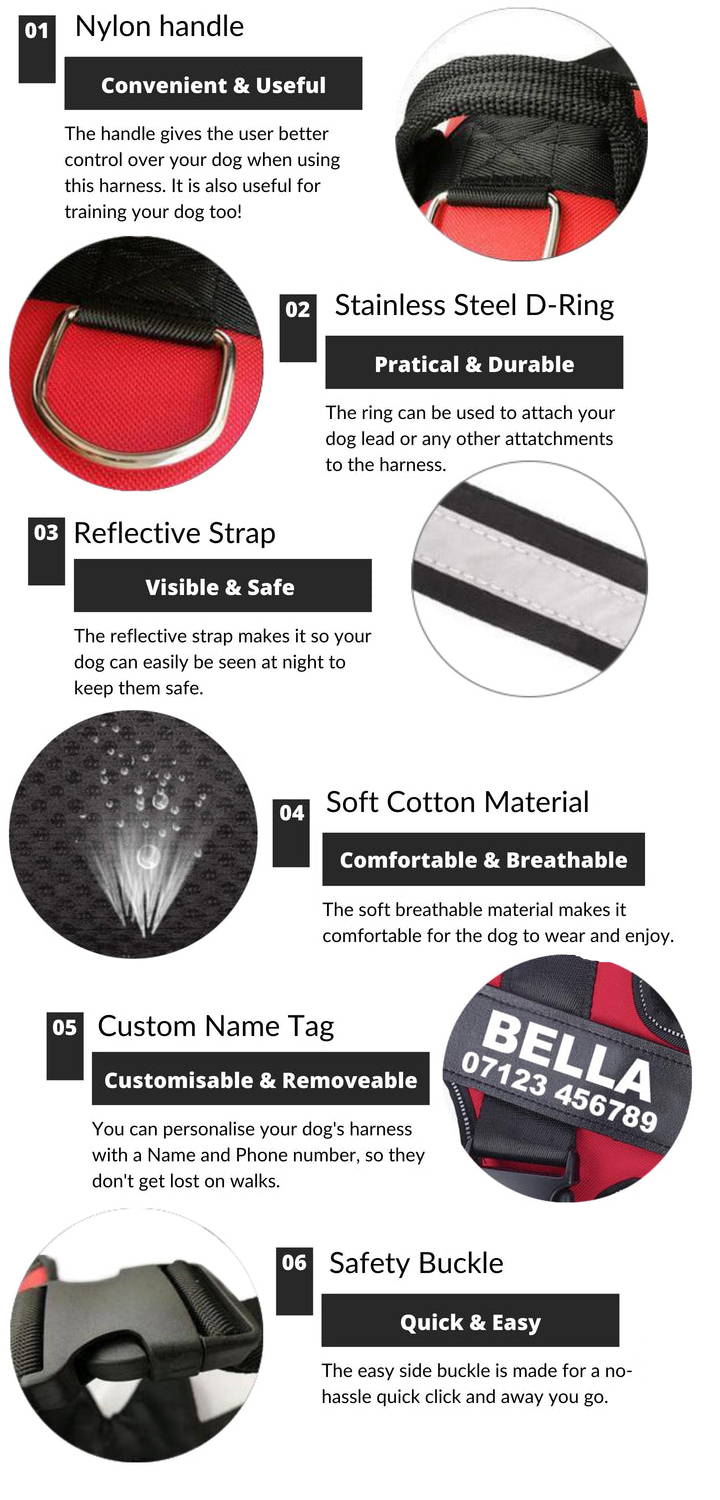 Personalised No Pull Dog Harness - Waggy Tails™ – Pup Buddy