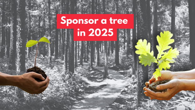 Sponsor a tree in our people-powered forest!