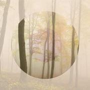 About the course — Шаг 1 — Stepik