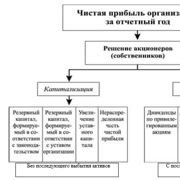 Анализ использования чистой прибыли — Шаг 1 — Stepik