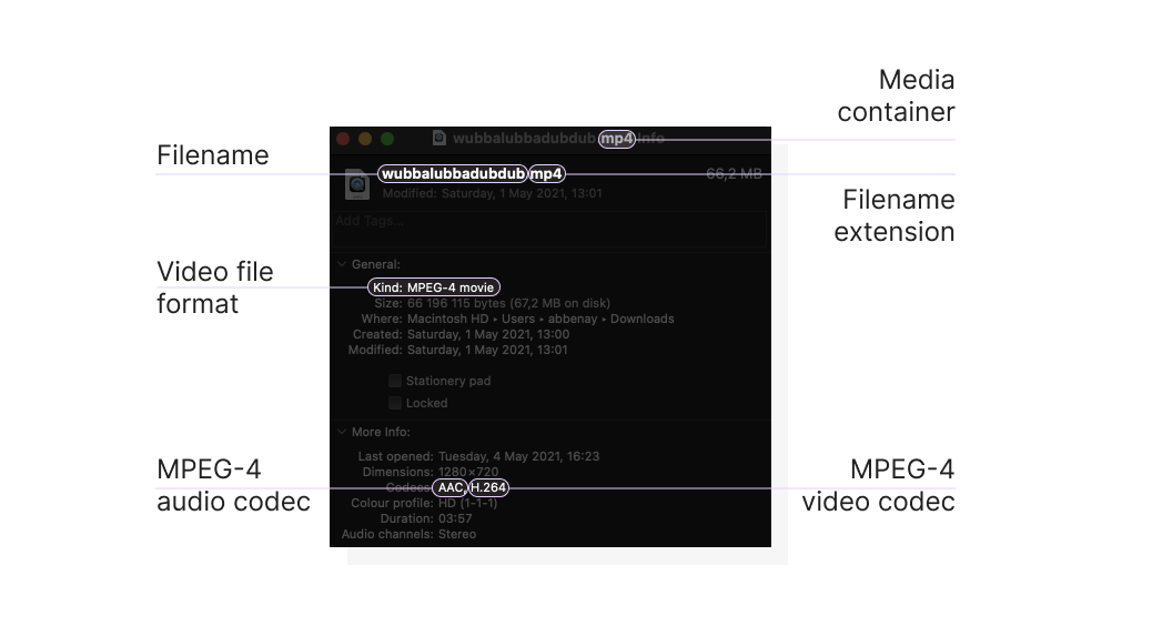 Different types of video file formats and why WebM and MP4 beat them ...