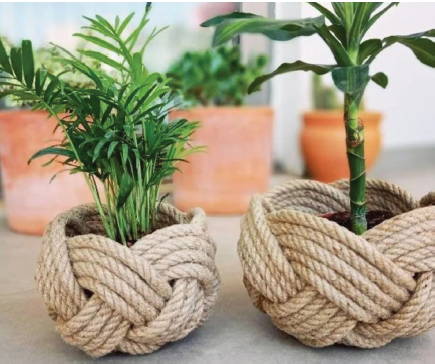 Ideas and Inspirations – Hemptique