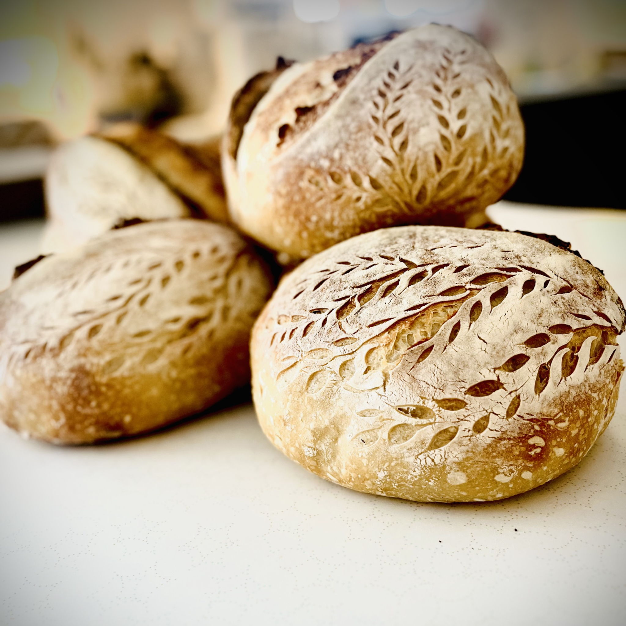 Back to Basics: bread, broth and beauty