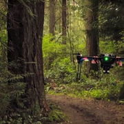 БАС и БПЛА в лесном хозяйстве — Шаг 5 — Stepik