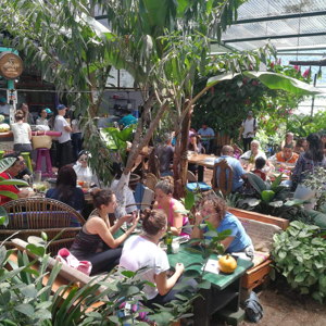 Caoba Cafe