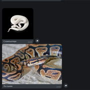 Работа с файлами — Шаг 4 — Stepik