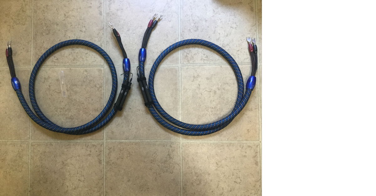 AudioQuest Everest Speaker Cable For Sale | Audiogon
