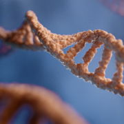 Лекции — Шаг 5 — Stepik