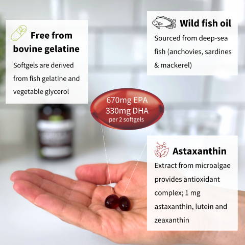 High Absorption Omega-3 Wild Fish Oil, 1000mg EPA & DHA rTG Triglyceri – Igennus Healthcare ...