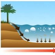Reading Passage — Шаг 11 — Stepik