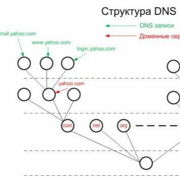 Система доменных имён DNS — Шаг 1 — Stepik