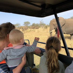 Guest Hub - Safari Fantasies