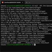 Общие понятия о безопасности в Linux — Шаг 1 — Stepik