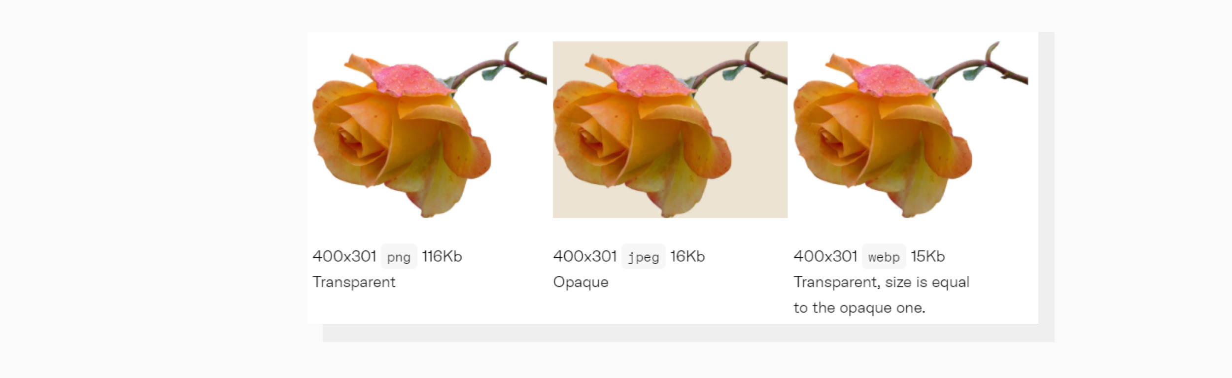 Lossless image compression: what is it and when to use it? — Uploadcare ...