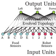Бонусный урок - нейроэволюция — Шаг 9 — Stepik
