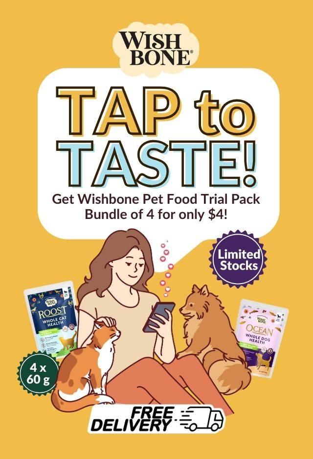 Trial Pack Bundles – Wishbone Singapore