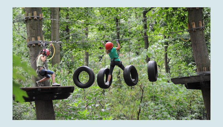 Tree2Tree - Dortmund Revierpark Wischlingen