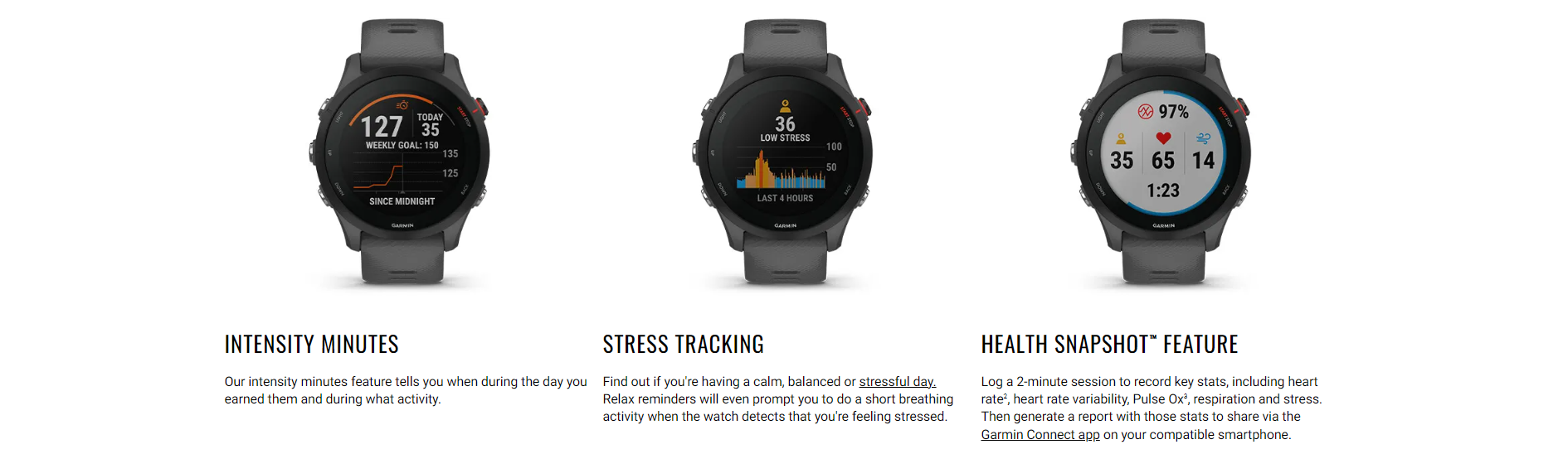 Garmin Forerunner 255, Slate Grey