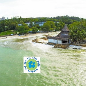 Guest Hub - The New Big Tree Mombasa Kenya