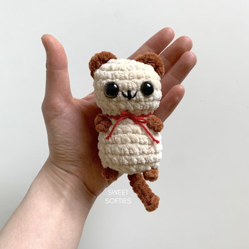 Easy Pocket Kitty Cat