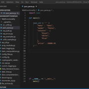 Работа с JSON Файлами — Шаг 13 — Stepik