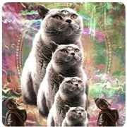 Задание 8 формата ЕГЭ — Шаг 5 — Stepik