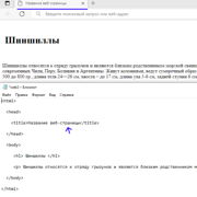 Пример HTML - документа — Шаг 2 — Stepik