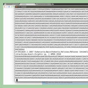 Базы данных 16S — Шаг 1 — Stepik