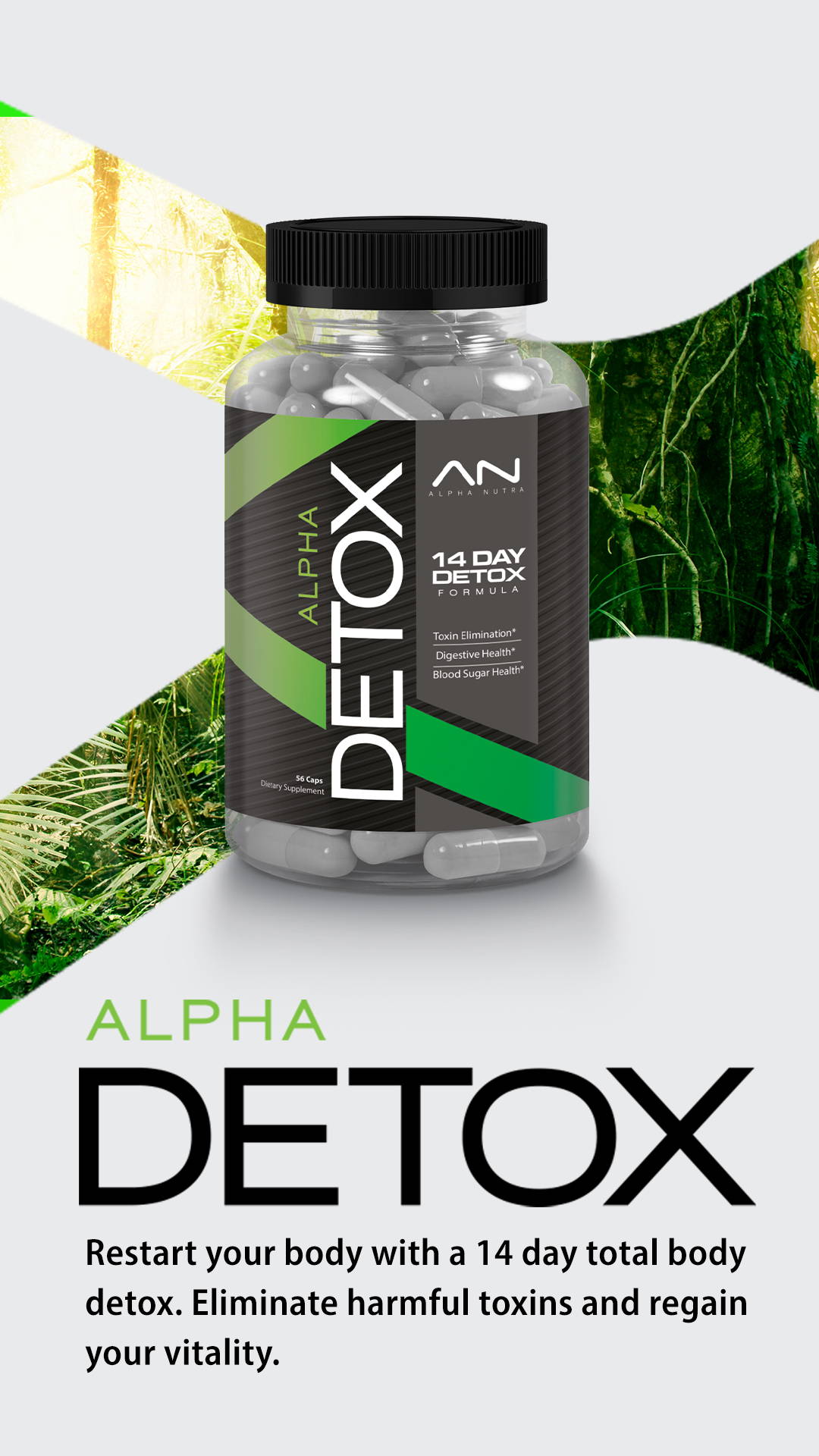 All Star Nutrition TX