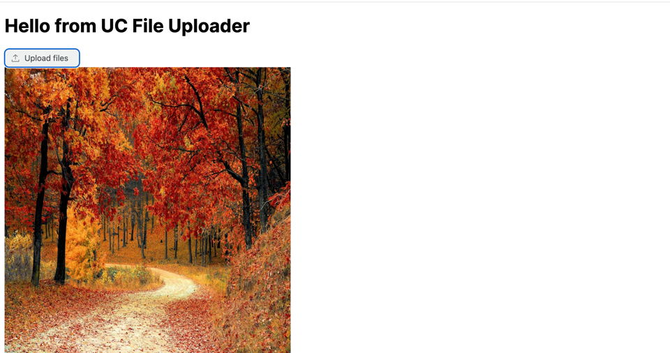 How To Upload Files Using Uploadcare React File Uploader In Nextjs