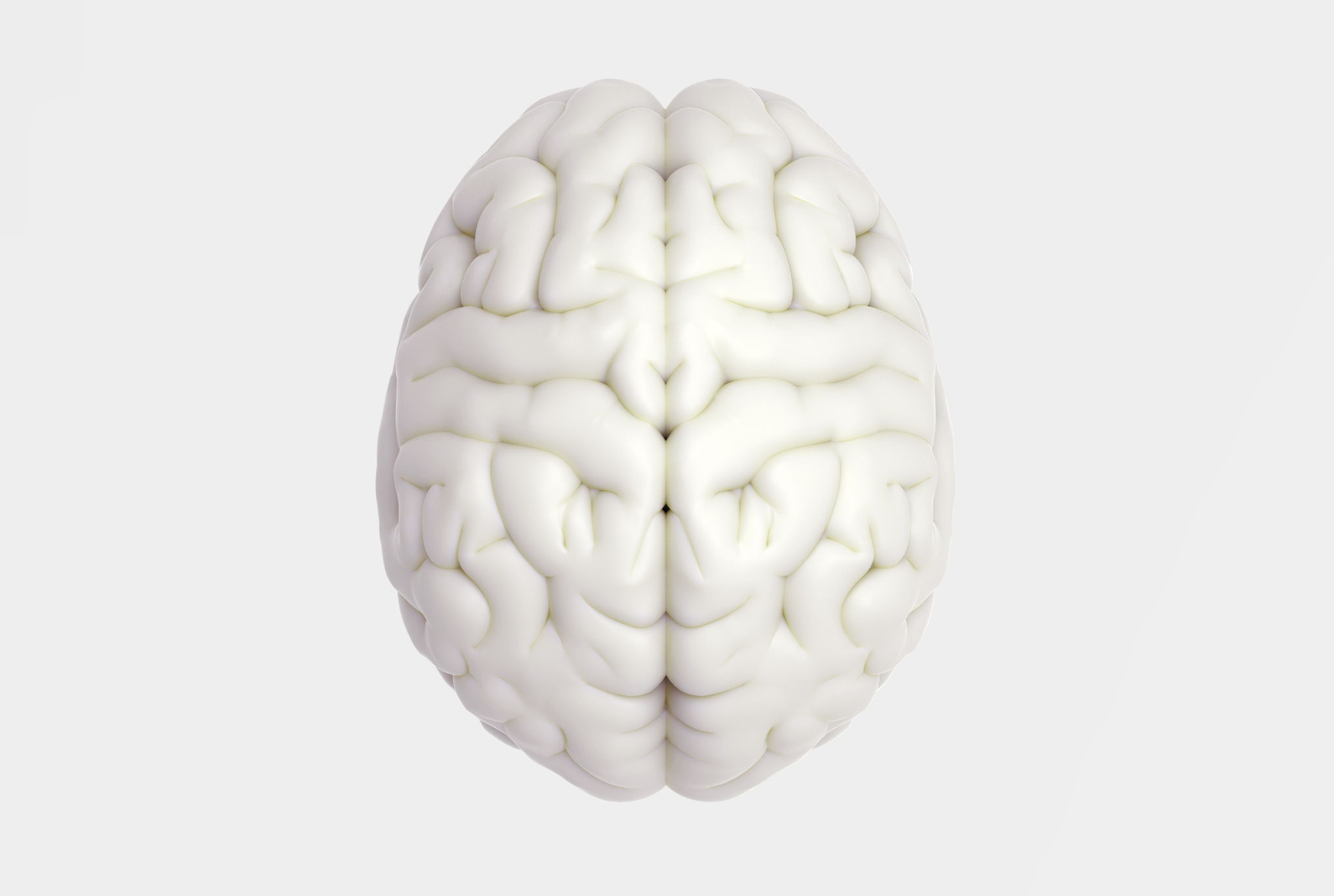 Under Pressure — The Effects of Stress on the Brain - Dr. Michael ...
