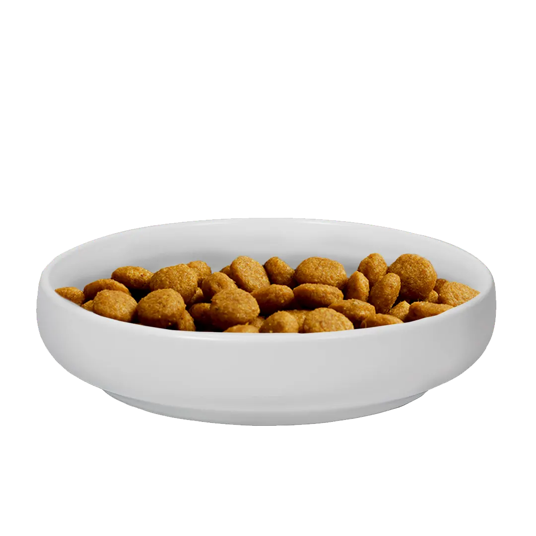 Wishbone Roost for Cats - New Zealand Chicken - 1.8kg – Wishbone Singapore