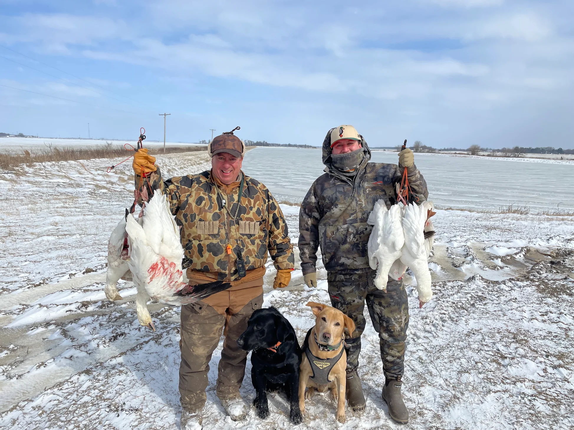 NE Arkansas Light Goose Conservation Hunts in Arkansas, United States ...