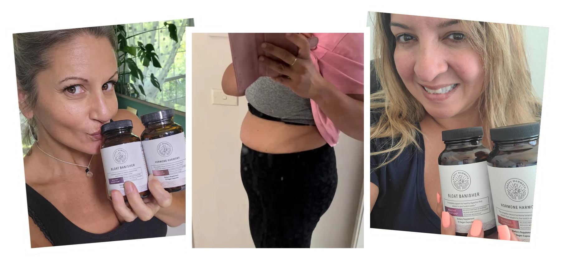 Ultimate Wellness Protocol – Happy Mammoth