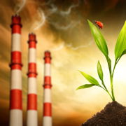 Articles — Шаг 1 — Stepik