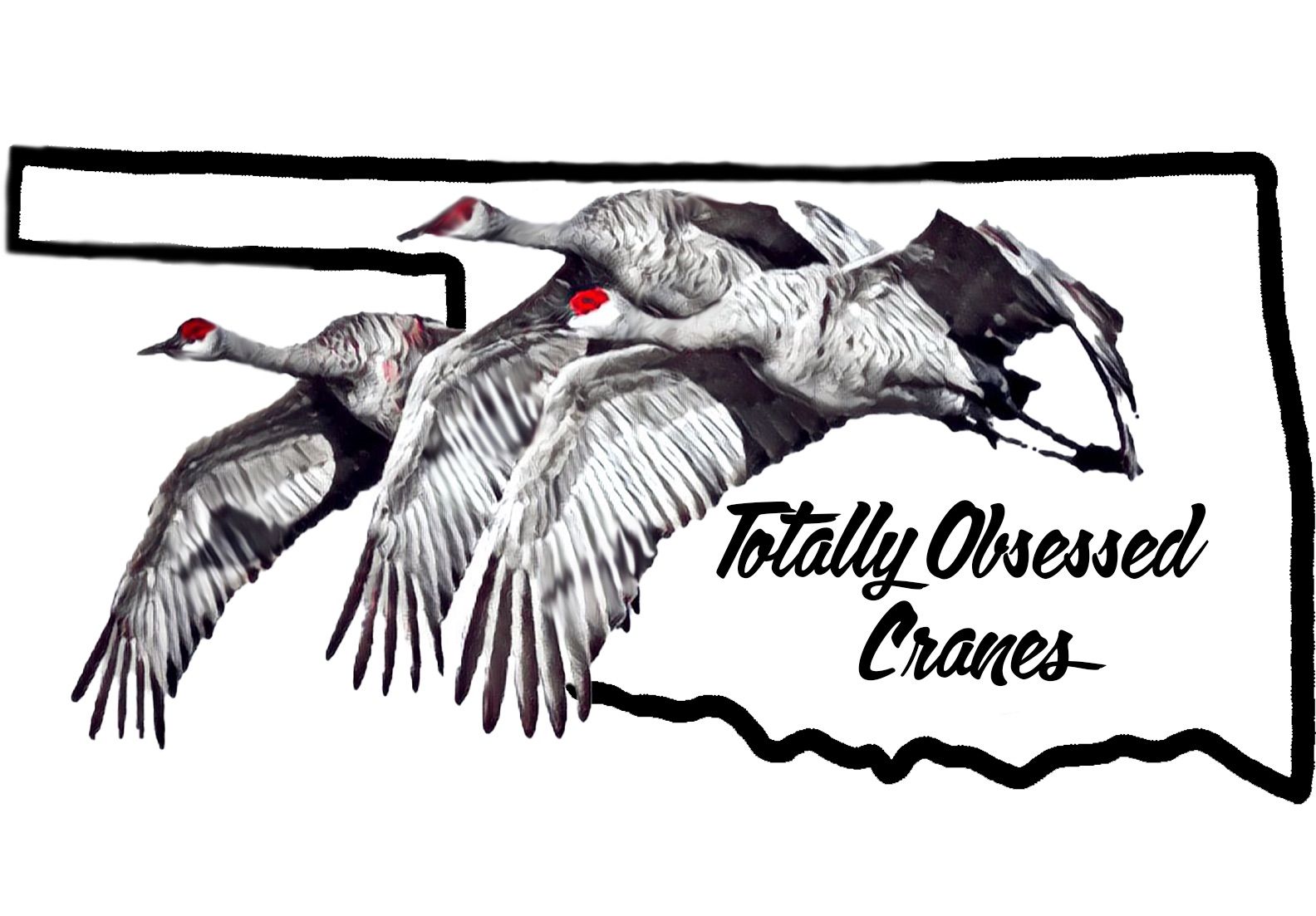 Totally Obsessed Outdoors Oklahoma Crane Hunts in Oklahoma, United ...