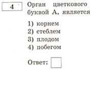 Задание 4 — Шаг 16 — Stepik