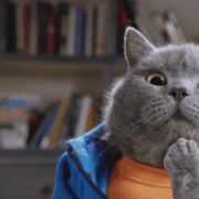 Шарты бар цикл while — Шаг 2 — Stepik